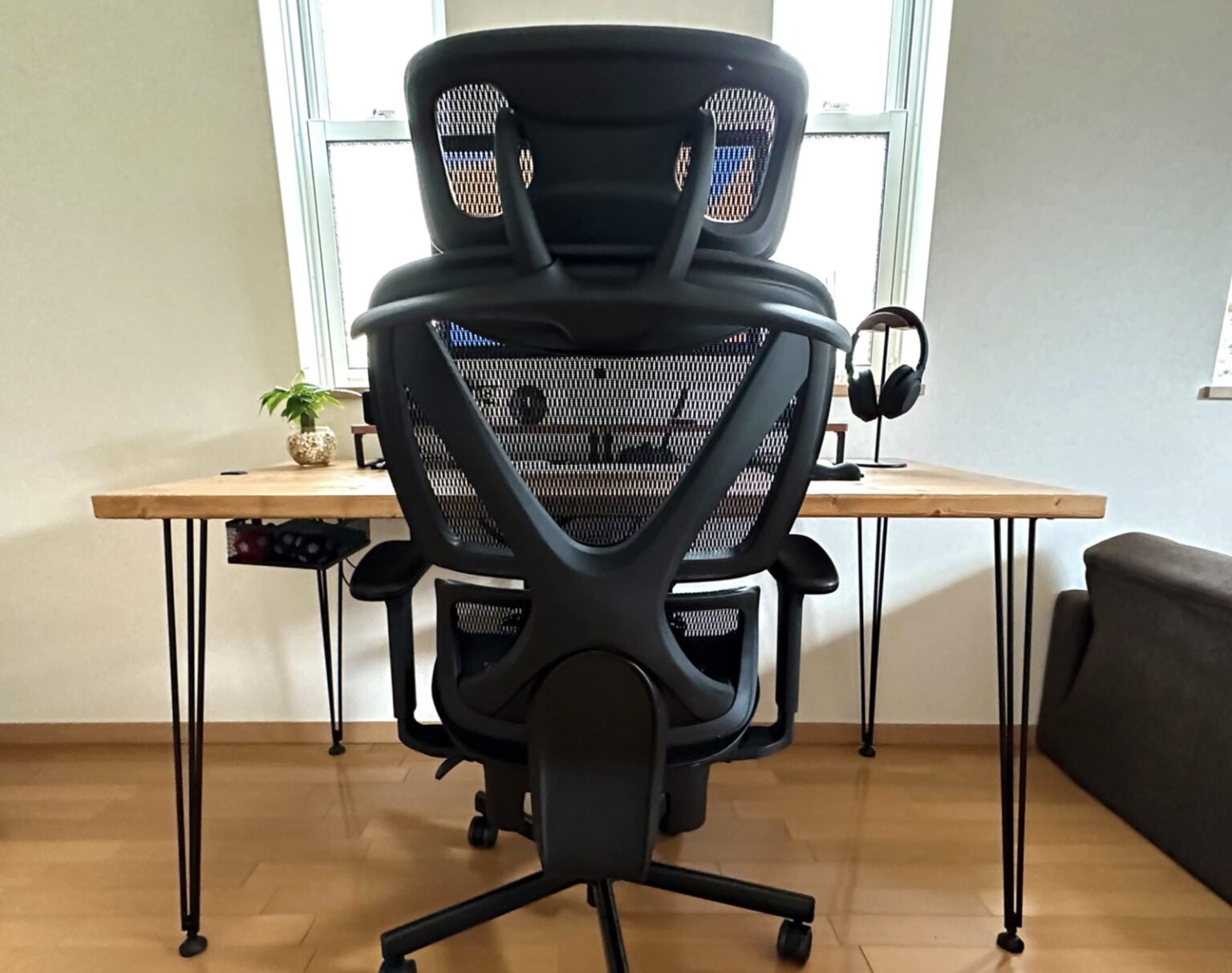 【COFO Chair Proレビュー】愛用してわかったおすすめデスクチェアを解説